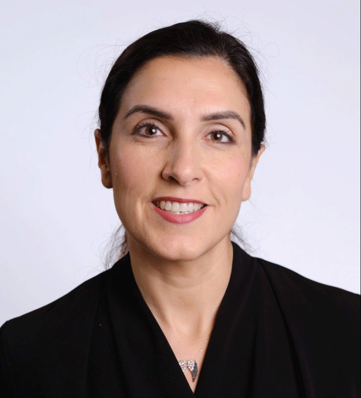Leena Khalil - APIC CAPITAL